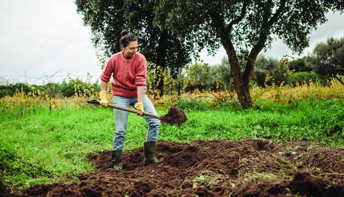 How to Build a Swale for Drainage - Grit